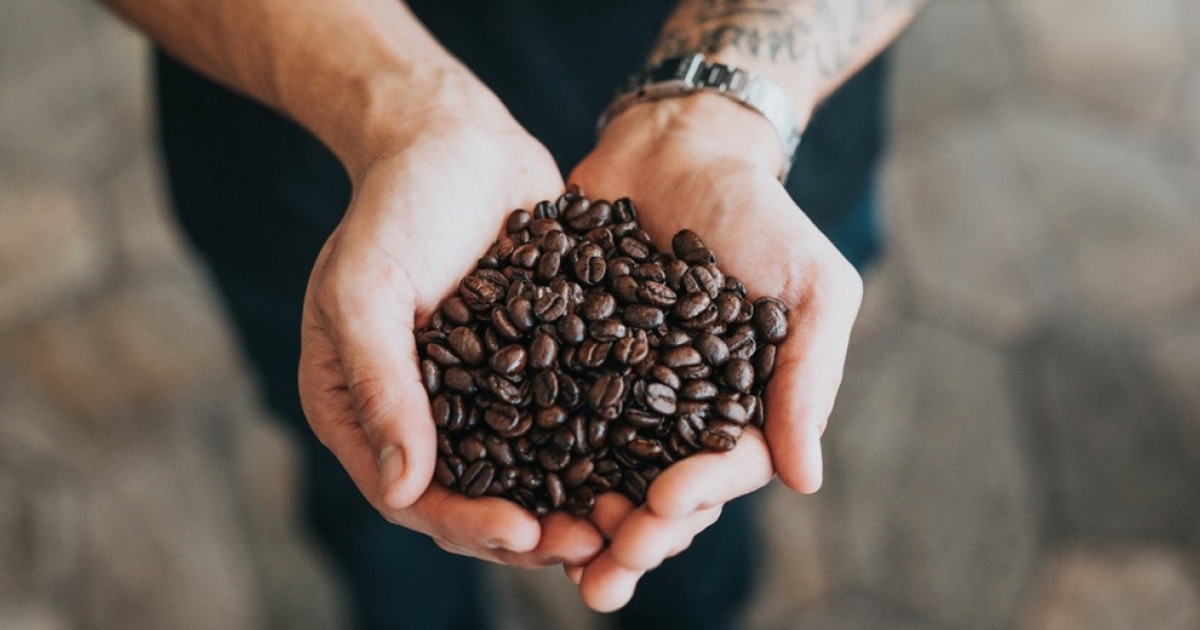 Coffea Arabica & Coffea Robusta | Nestlé Professional